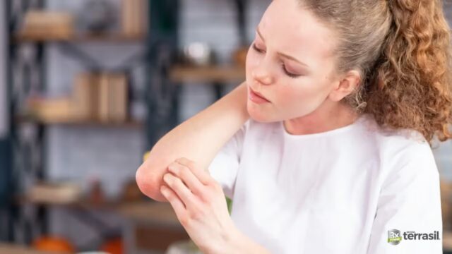 Best Ointment for Infected Cuts and Scrapes: OTC Comparison - Terrasil Blog